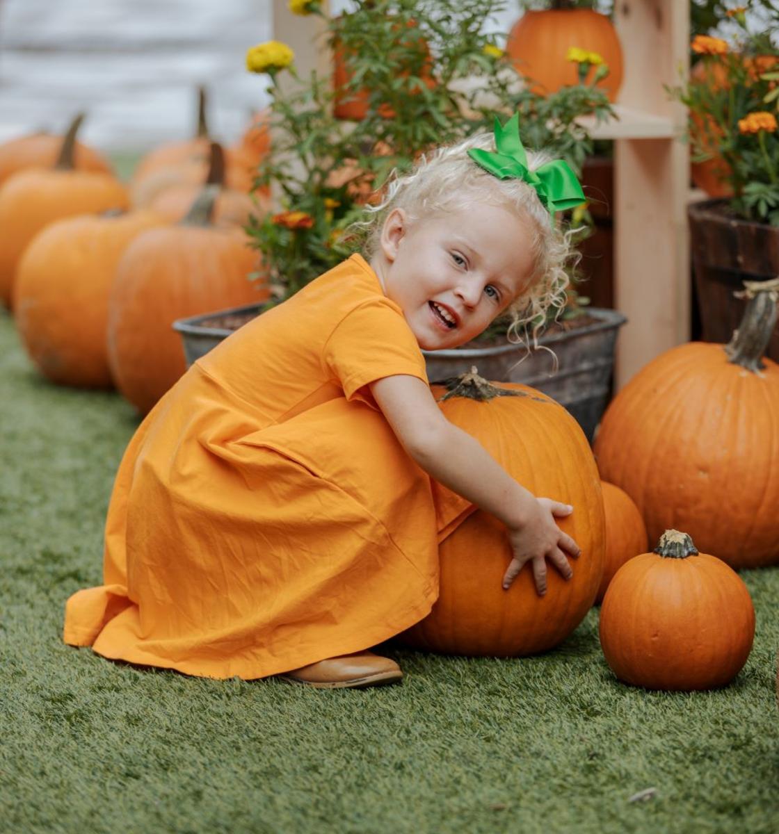 Fall Fun – pumpkin patches, festivals and more! – Palm Beach Moms