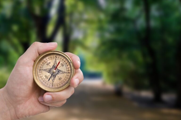 Science with Sam Family Fun: Orienteering and Compass Making – Palm ...